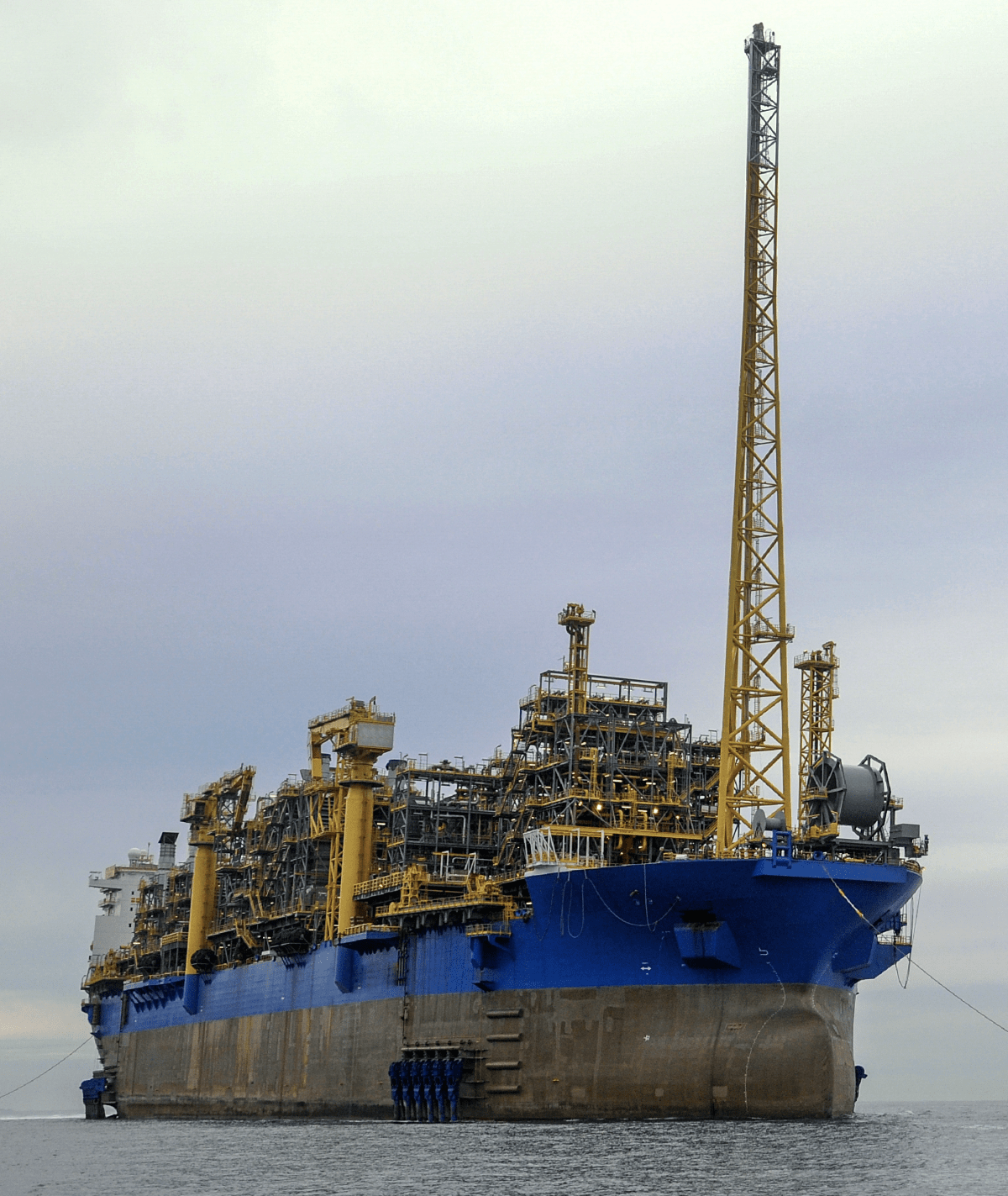 Vidya's digital Application for Asset Integrity Management